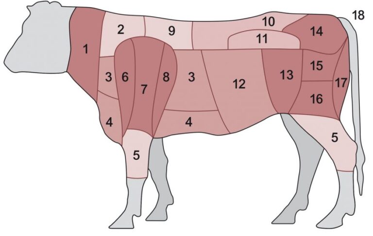 Kleine Fleischkunde • NEULAND Fleisch